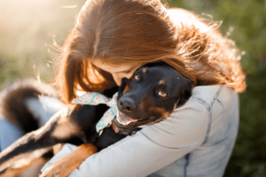 Why Your Dog’s Favorite Person Might Change Over Time: Exploring the Shift