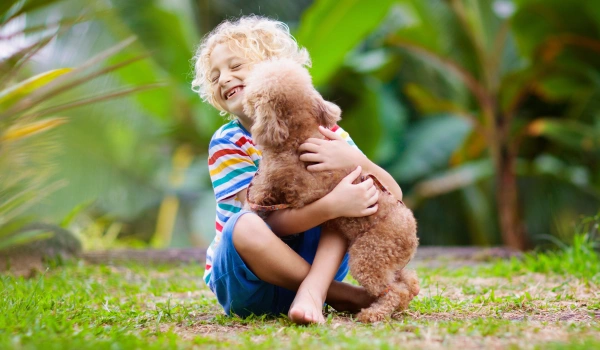 Tips for Teaching Your Children to Respect Dogs